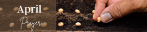 April - Blessing of Seeds and Rain - Catholic Rural Life