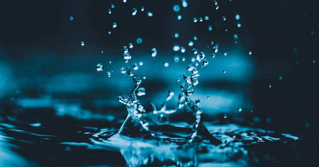 5 Reasons Catholics Should Care for Creation - Catholic Rural Life