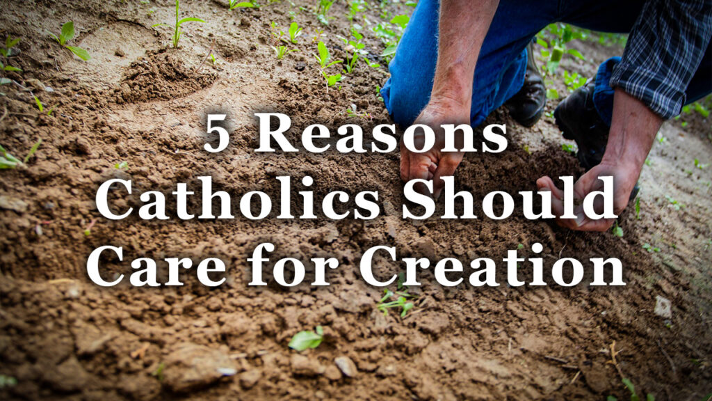 5 Reasons Catholics Should Care for Creation - Catholic Rural Life