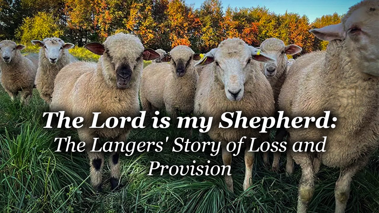 The Lord is my Shepherd - The Langers' Story of Loss and Provision ...