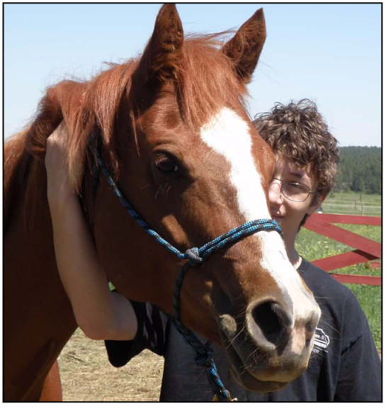 Horses, Healing, Hope - Catholic Rural Life