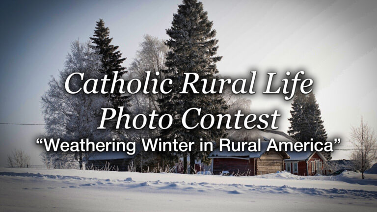 A saint in a time of storms - Catholic Rural Life