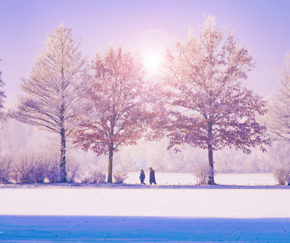A Spiritual Winter as a Season of Grace - Catholic Rural Life